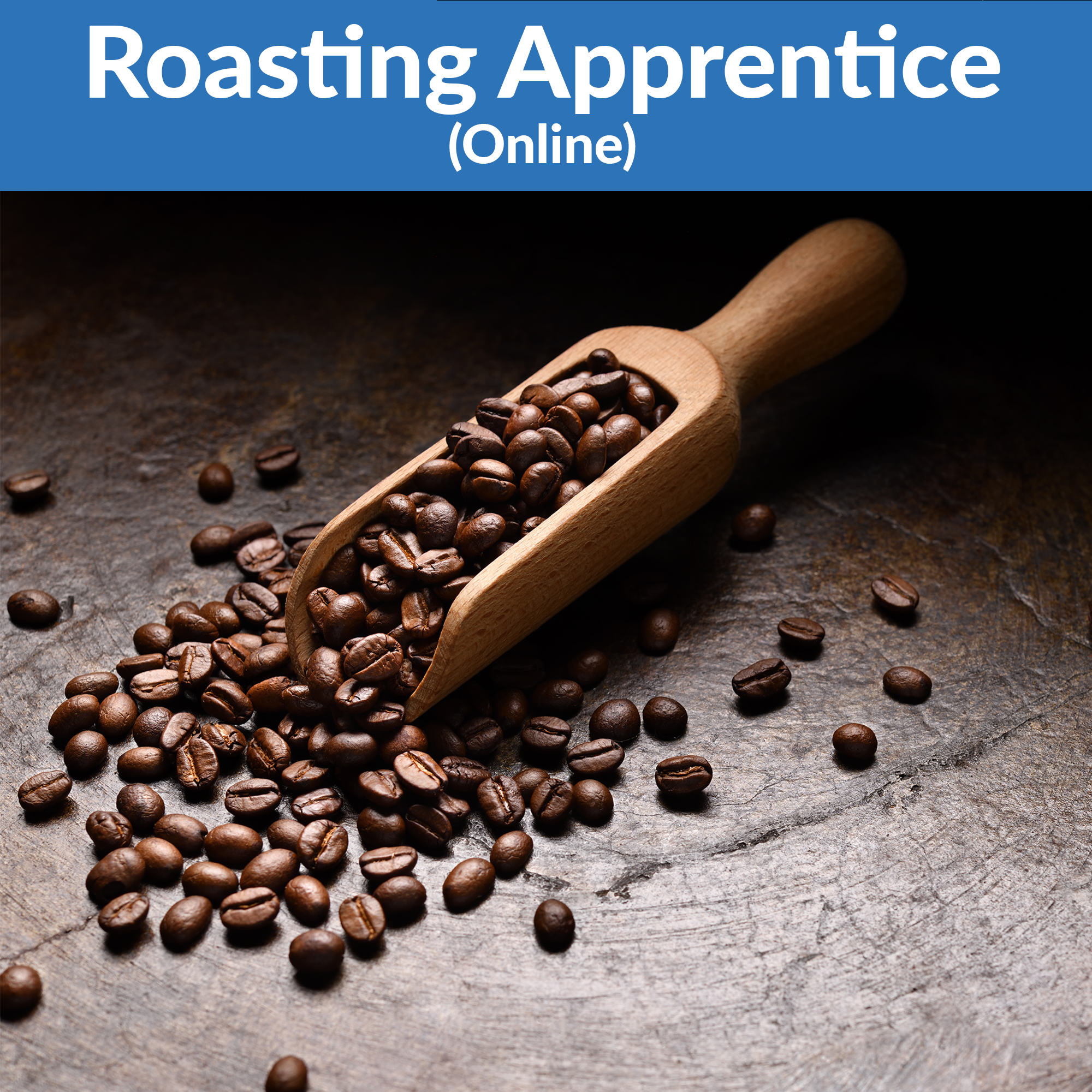 Chicago – Diedrich Roasting School - Diedrich Roasters